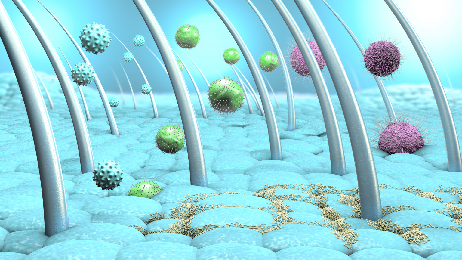 Gut Health and Skin - OMNi-BiOTiC®